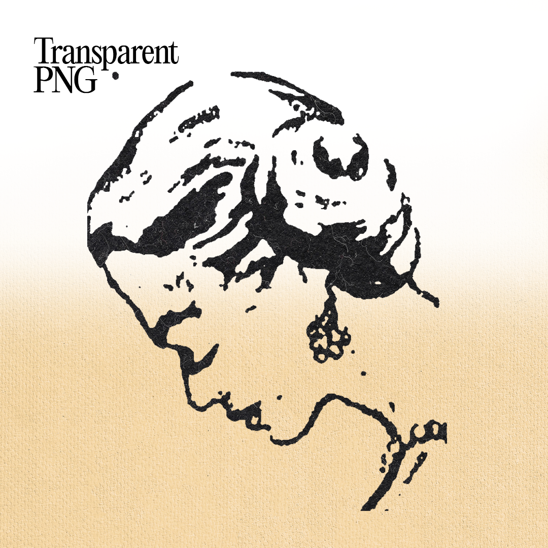 IMAGE ARCHIVE™ - Faces + Figures – Another Department